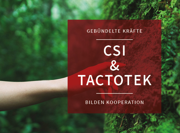 csi entwicklungstechnik | Fahrzeugtechnik | Automobilindustrie